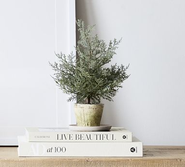 Pre-Lit Faux Cedar Trees | Pottery Barn
