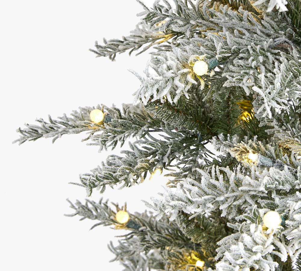 Pre-Lit Slim Flocked Nova Scotia Spruce Faux Christmas Tree | Pottery Barn