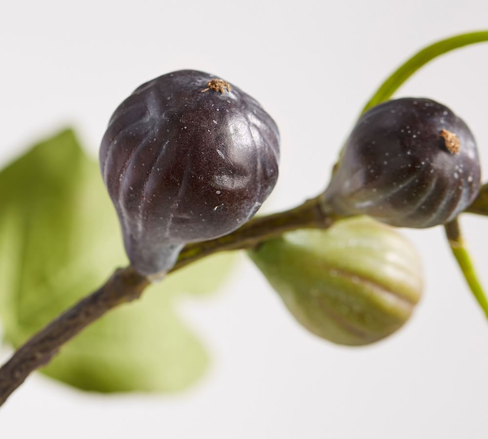 Faux Fig Branch | Artificial Flowers | Pottery Barn