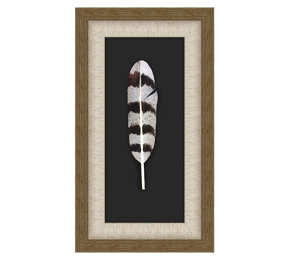 Snow Owl Feather Shadow Box | Pottery Barn