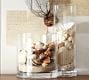 Beach Shell Vase Filler | Pottery Barn
