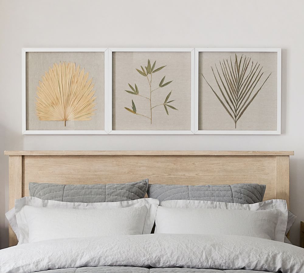 Fronds Shadow Box Wall Art - Set of 3 | Pottery Barn