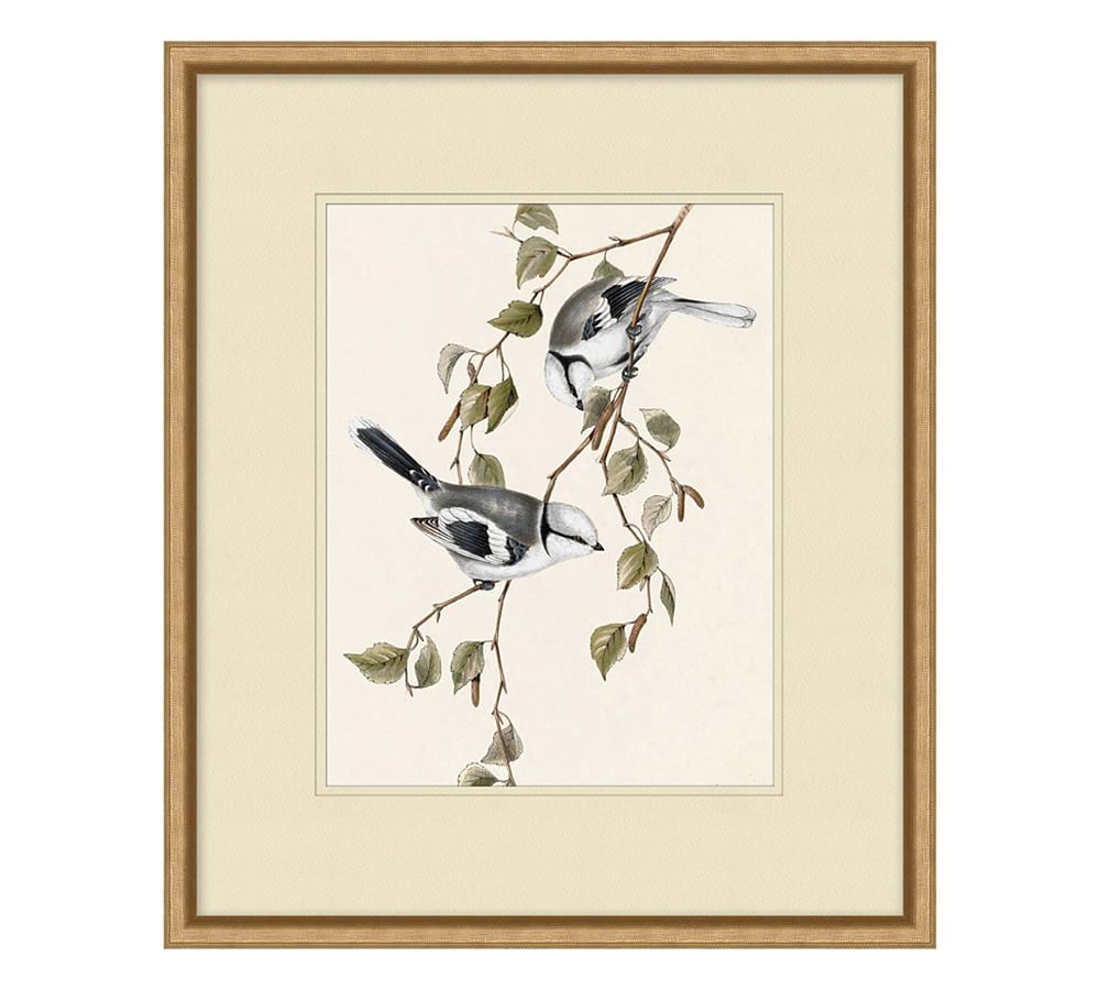 In The Branches Prints | Pottery Barn