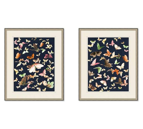 Butterfly Collection Framed Wall Art | Animal Art | Pottery Barn