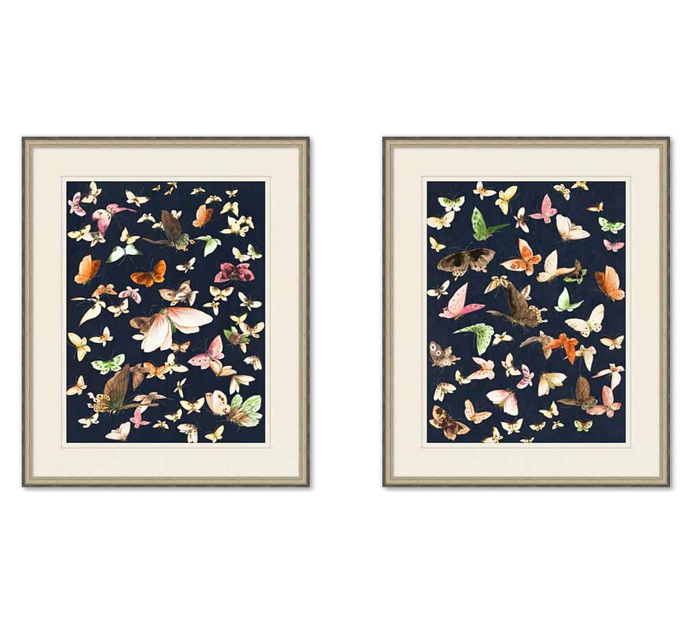 Butterfly Collection Framed Wall Art | Animal Art | Pottery Barn