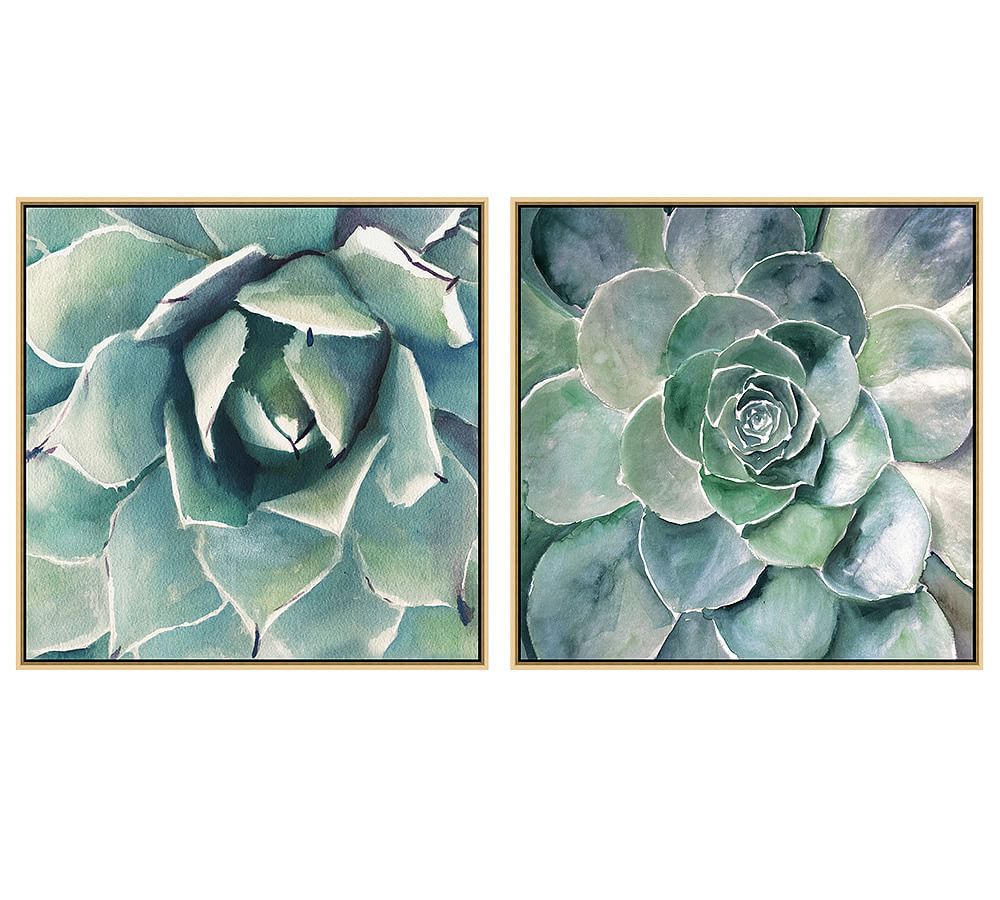 Garden Succulent Canvas Wall Art | Pottery Barn