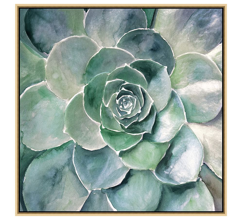 Garden Succulent Canvas Wall Art | Pottery Barn