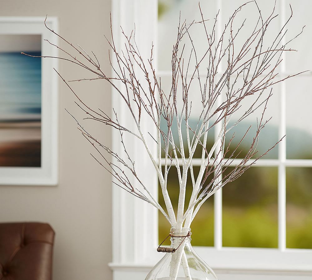 Frosted Birch Branch | Pottery Barn