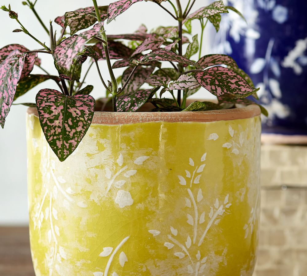Ceramic Cachepot Collection - Floral | Pottery Barn