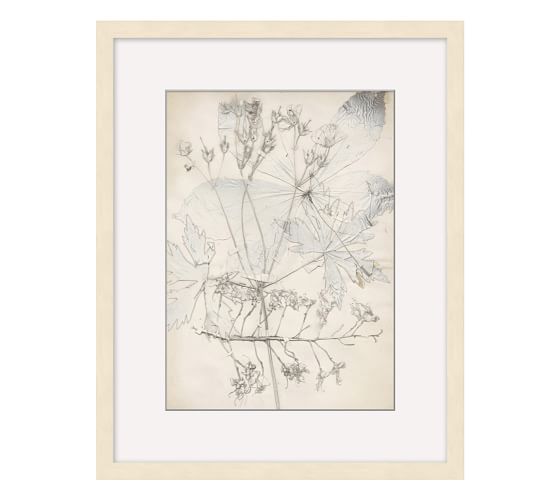 Ivory Foliage Prints | Pottery Barn
