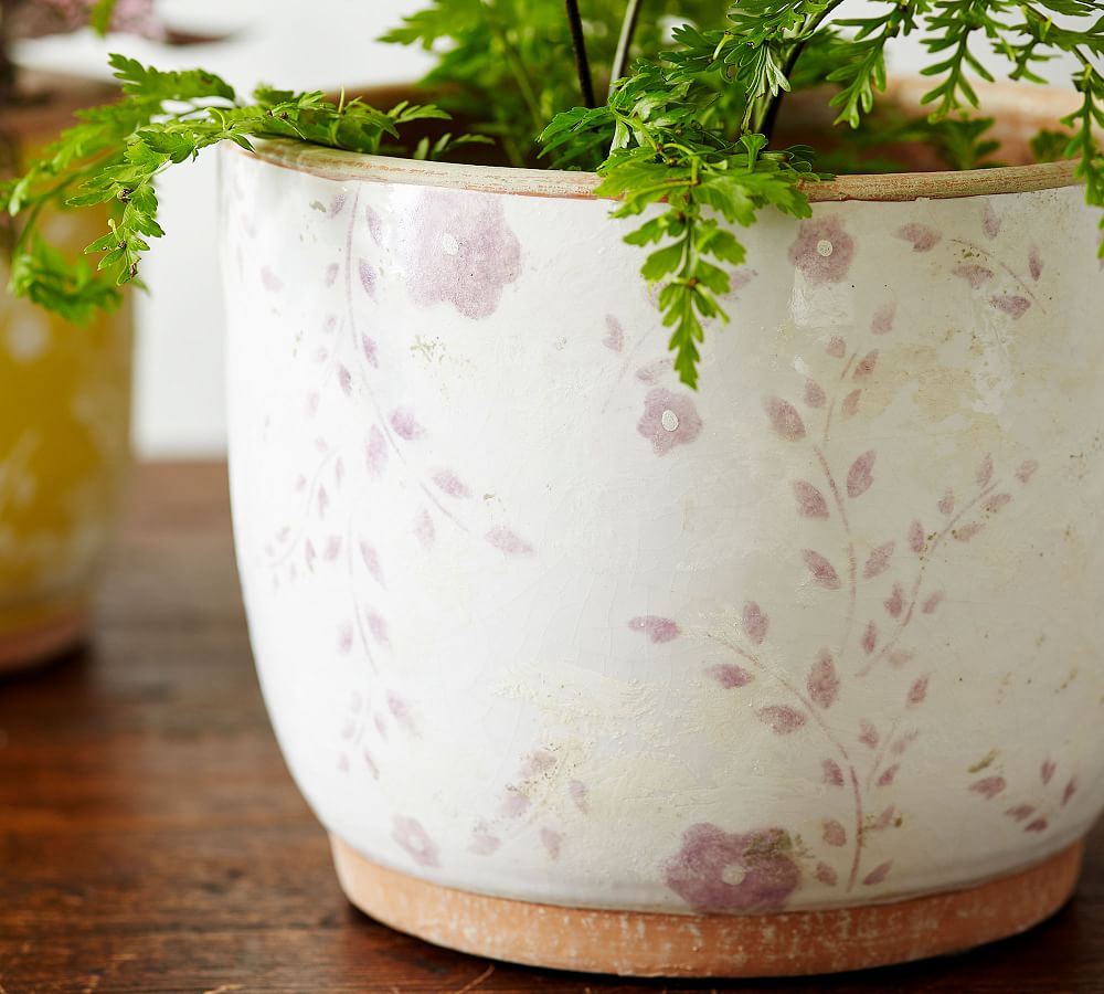 Ceramic Cachepot Collection - Floral | Pottery Barn
