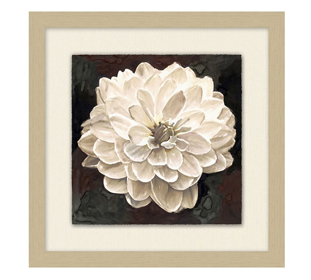 White Flower Prints | Pottery Barn