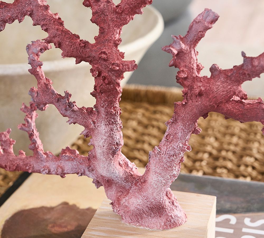 Faux Coral Decorative Object | Pottery Barn