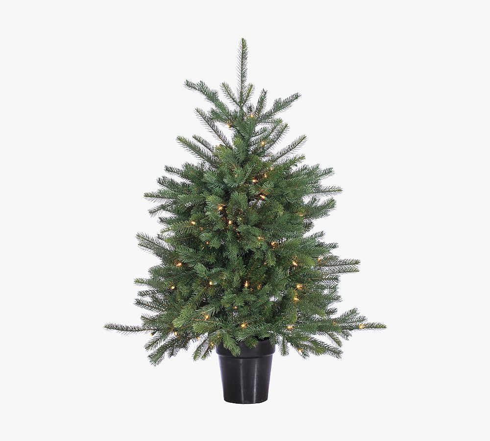 Potted Pine Tree With Clear Lights 4 Pottery Barn