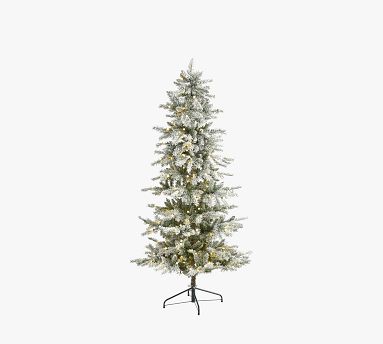 Pre-Lit Slim Flocked Nova Scotia Spruce Faux Christmas Tree | Pottery Barn