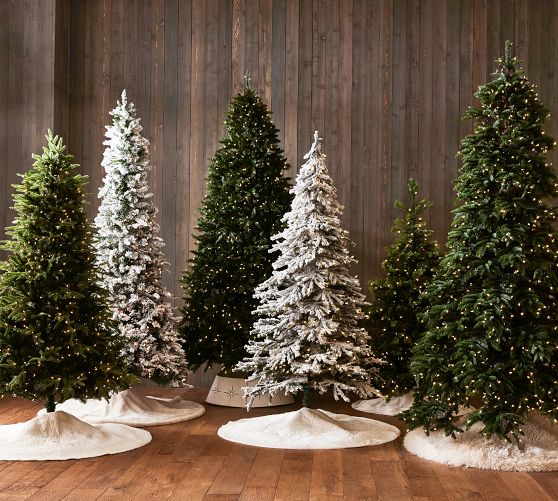 Starburst Handcrafted Metal Tree Collar | Pottery Barn