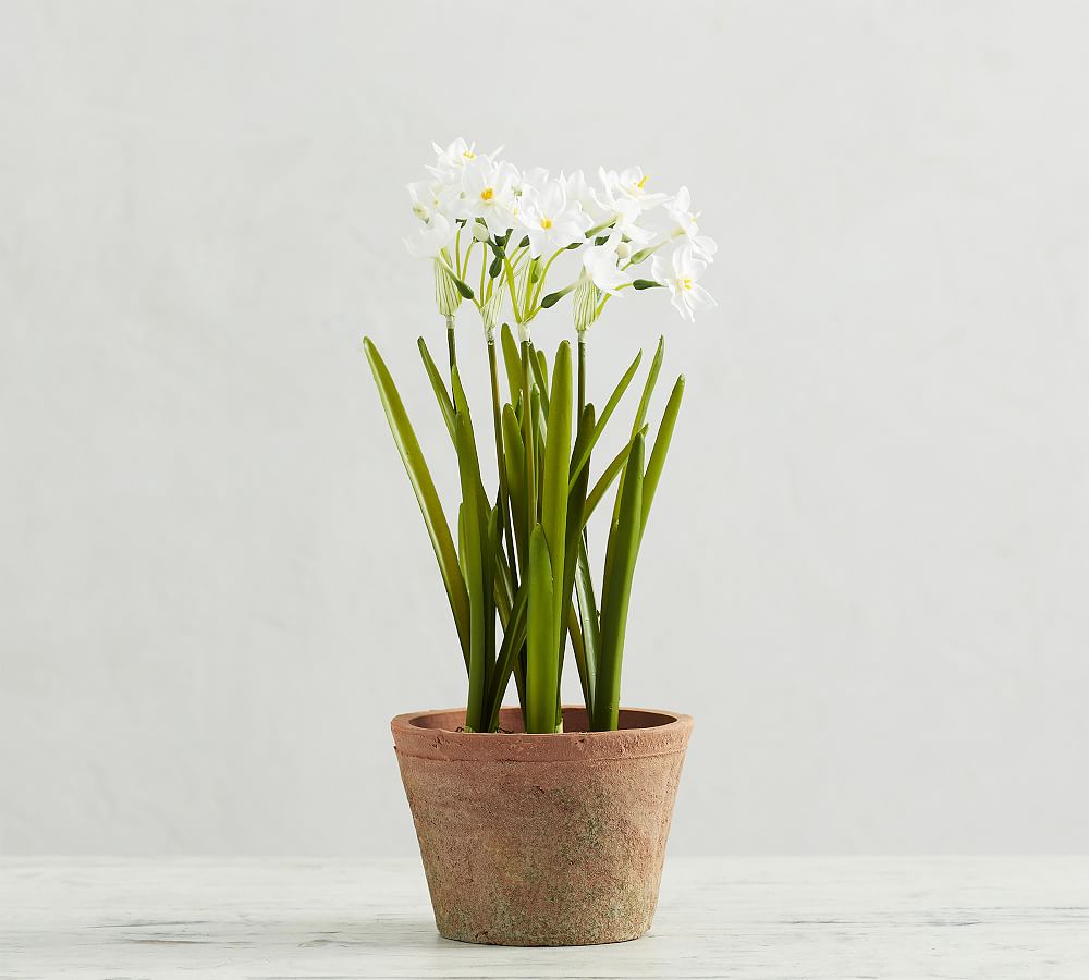Faux Potted Paperwhites | Pottery Barn