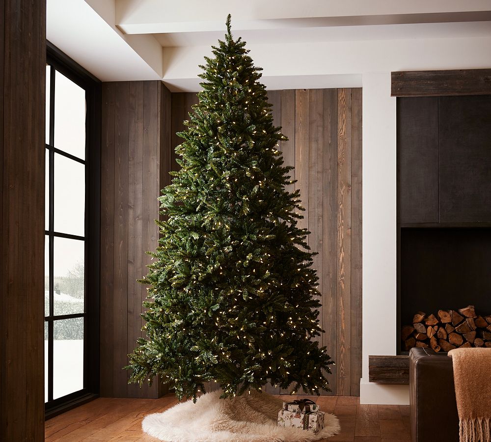 Grand Fir Christmas Tree