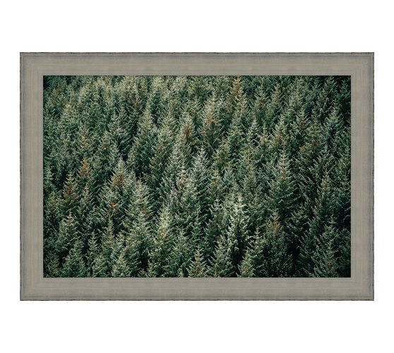 Aerial Evergreen Forest Framed Print | Pottery Barn