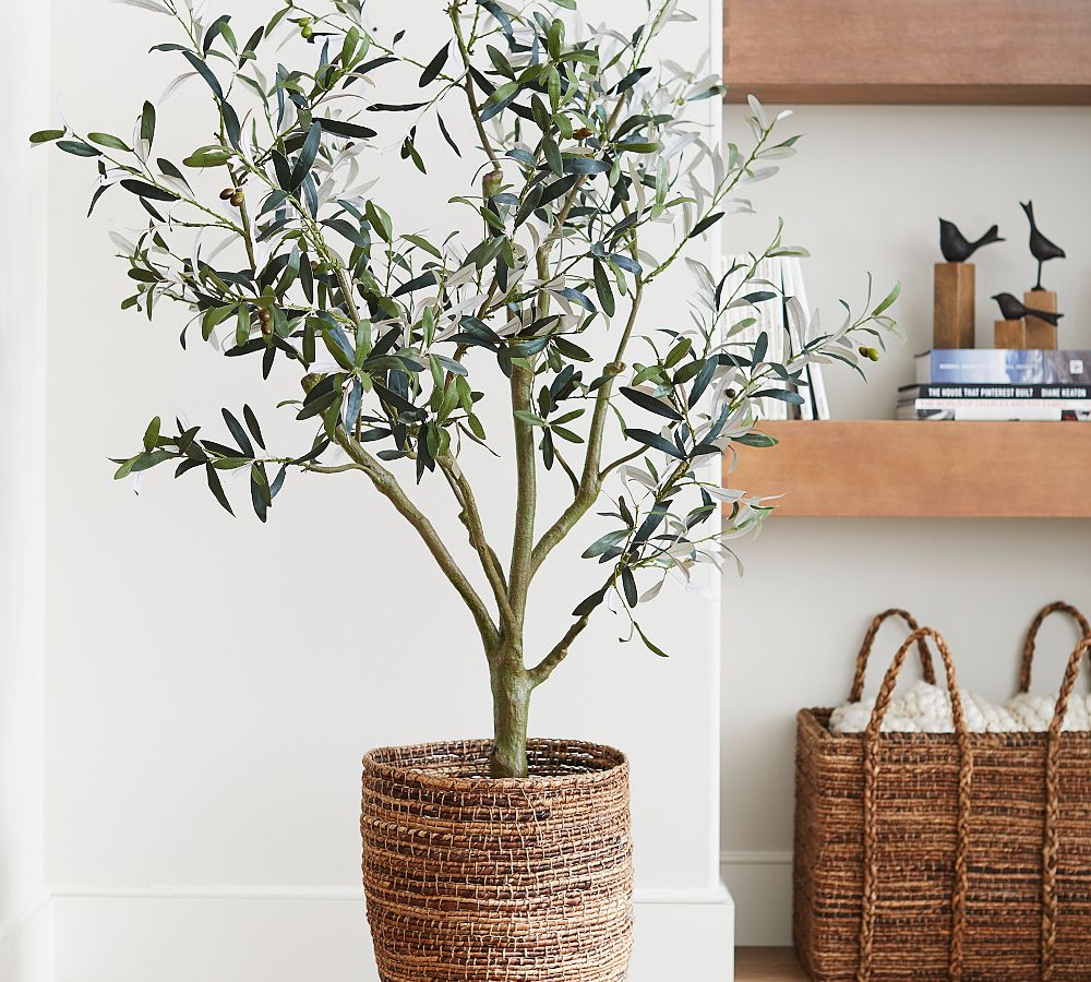 Faux Olive Tree | Pottery Barn