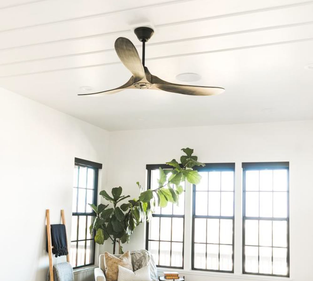 Rayanne Ceiling Fan | Pottery Barn