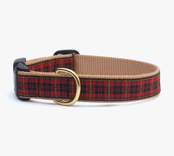 Patterned Collar with 5' Leash | Pottery Barn