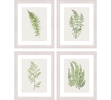 green-fern-framed-print | Pottery Barn