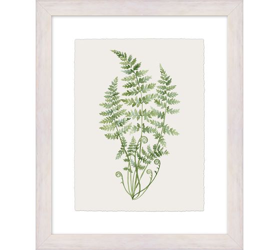 green-fern-framed-print | Pottery Barn