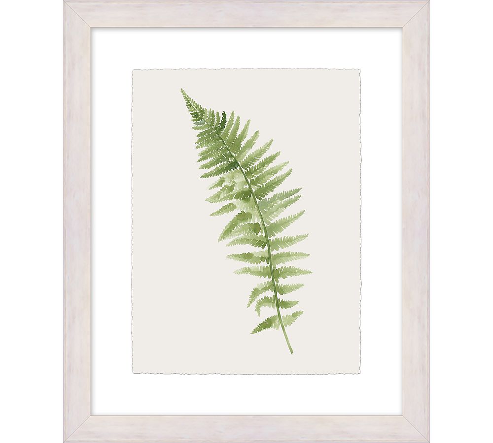 green-fern-framed-print | Pottery Barn