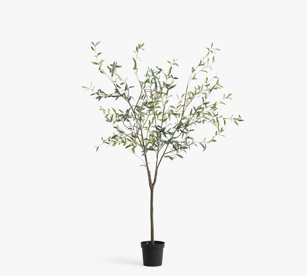 Faux Olive Trees | Pottery Barn