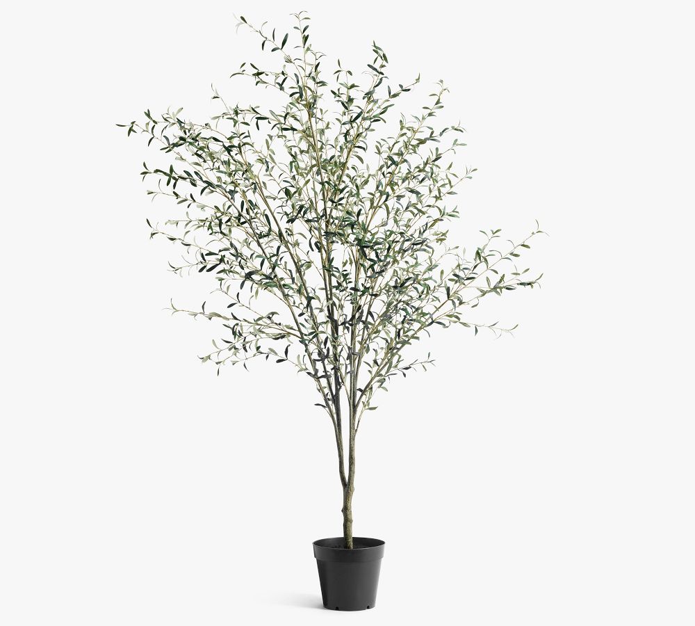 Faux Potted Olive Trees | Pottery Barn