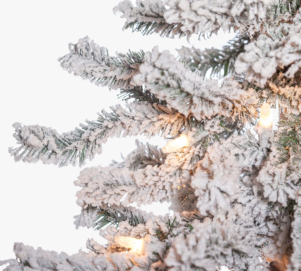 Faux Pre-Lit Flocked Alpine Tree With Clear Lights - 5' | Pottery Barn