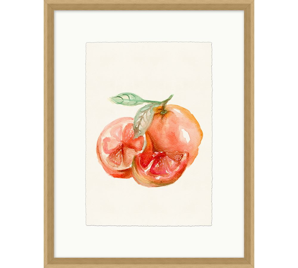 Summer Citrus Framed Print | Pottery Barn