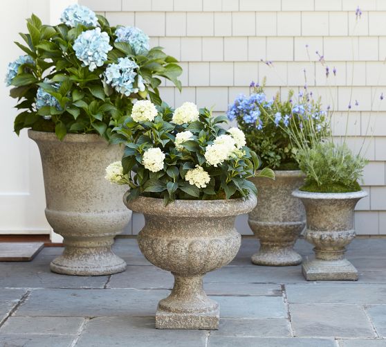 Chateau Traditional Urn Outdoor Planters | Pottery Barn