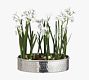 Paperwhite Arrangement In Aluminum Pot | Pottery Barn