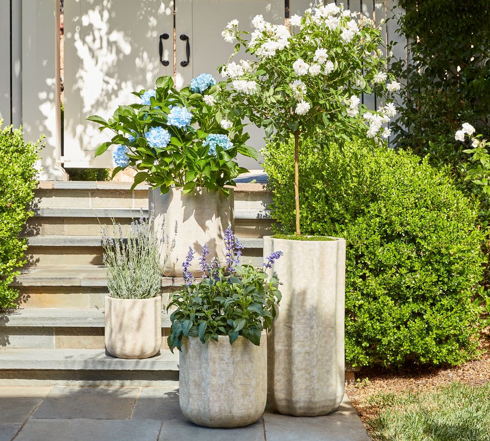 Modern Rustic Fluted Planters | Pottery Barn