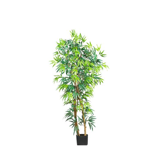 Faux Curved Bamboo Trees | Pottery Barn