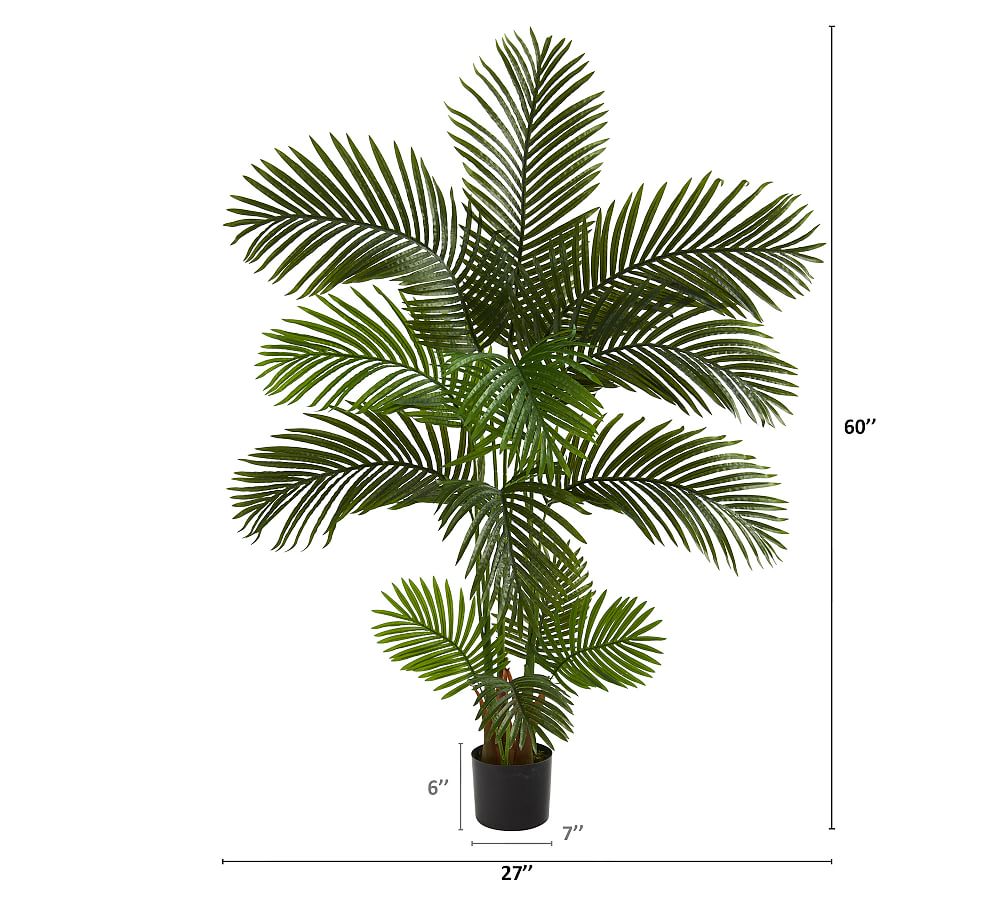 Areca Palm Leaf