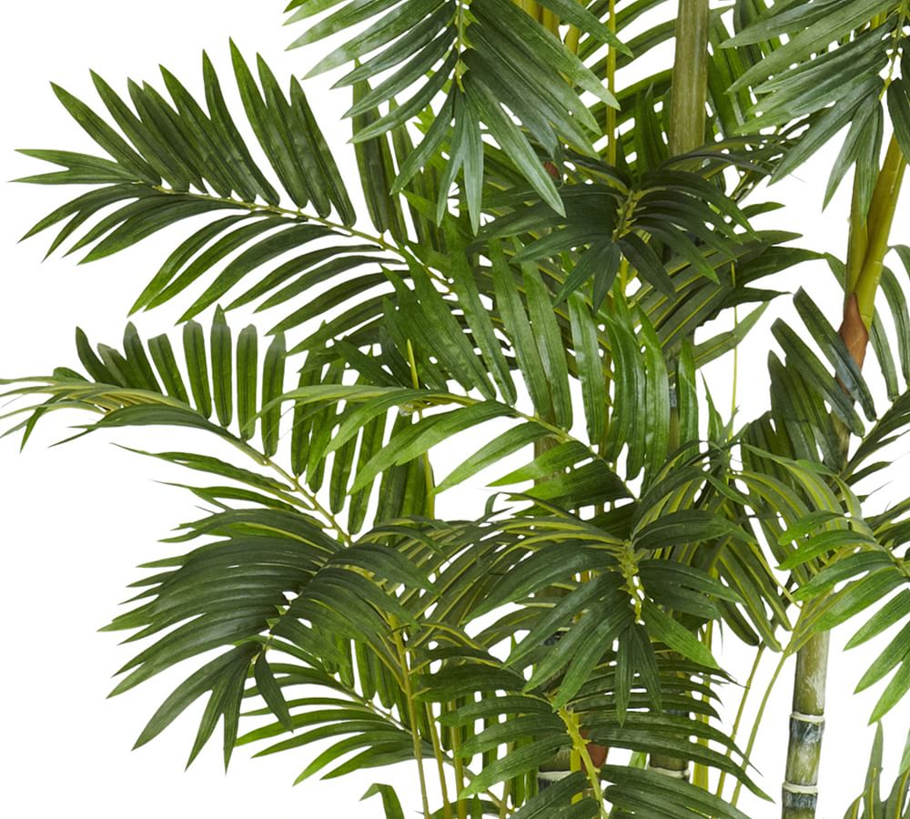 Faux Narrow Areca Palm Trees | Pottery Barn
