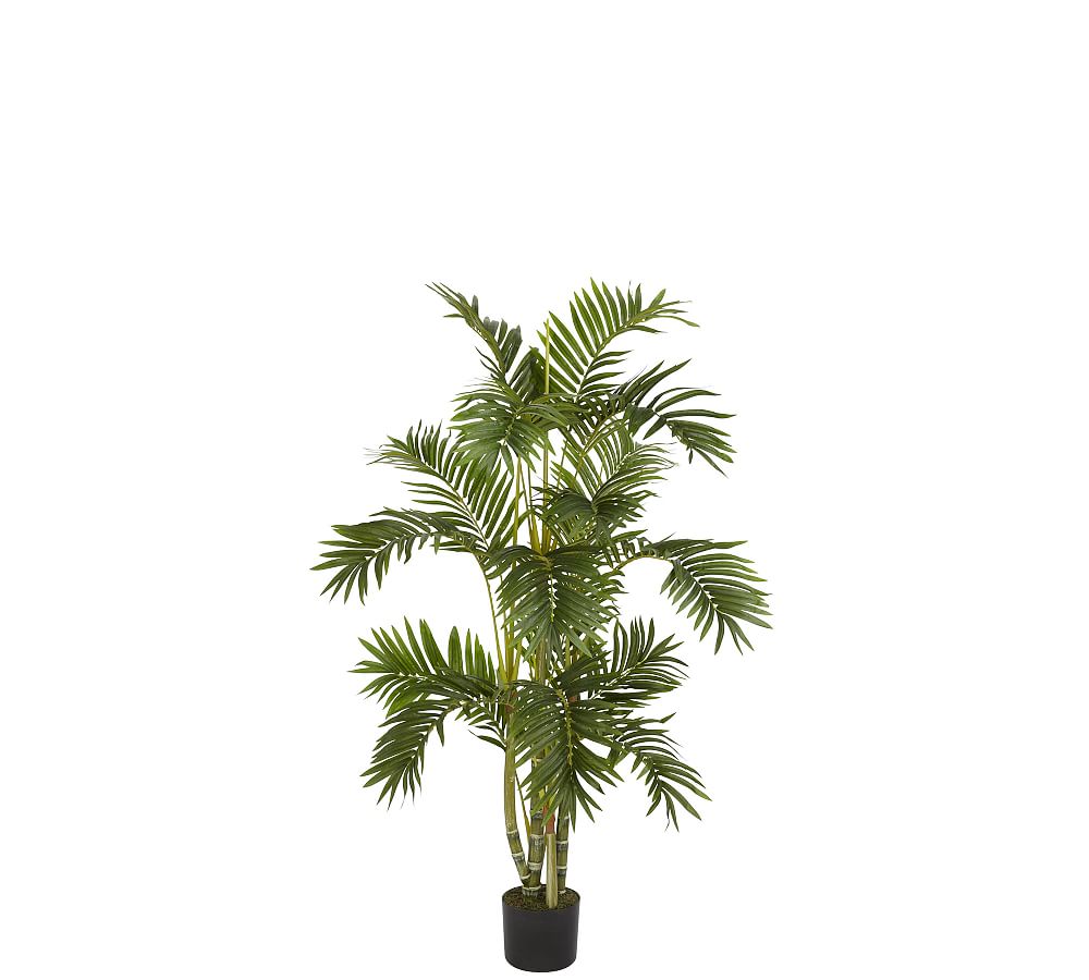 Faux Narrow Areca Palm Trees | Pottery Barn