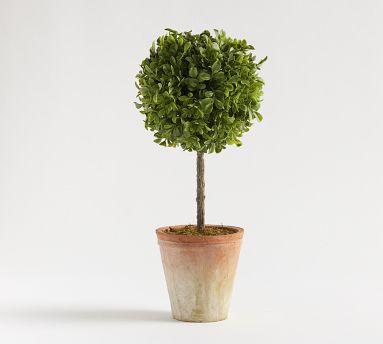 Faux Boxwood Topiary | Pottery Barn