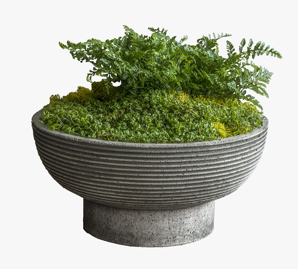 Rayna Ribbed Planter | Pottery Barn