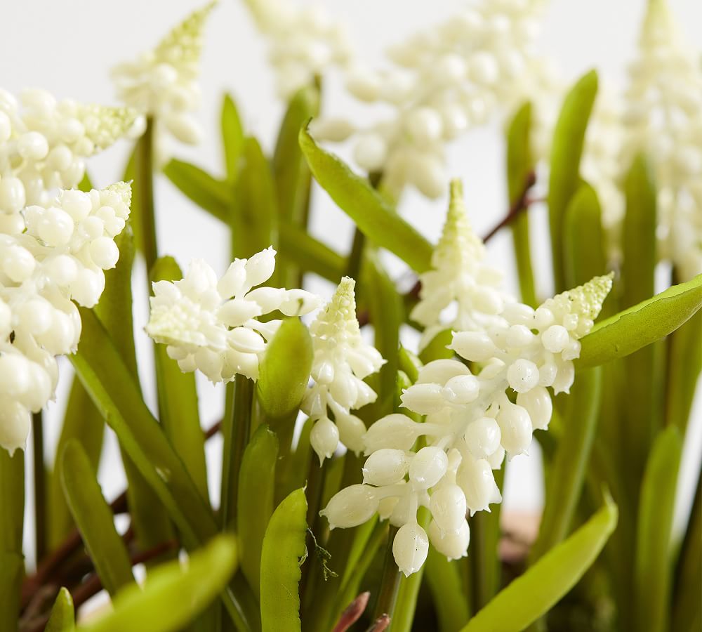 Faux White Grape Hyacinth Arrangement | Pottery Barn