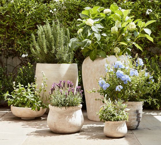 Artisan Handcrafted Cachepots | Pottery Barn