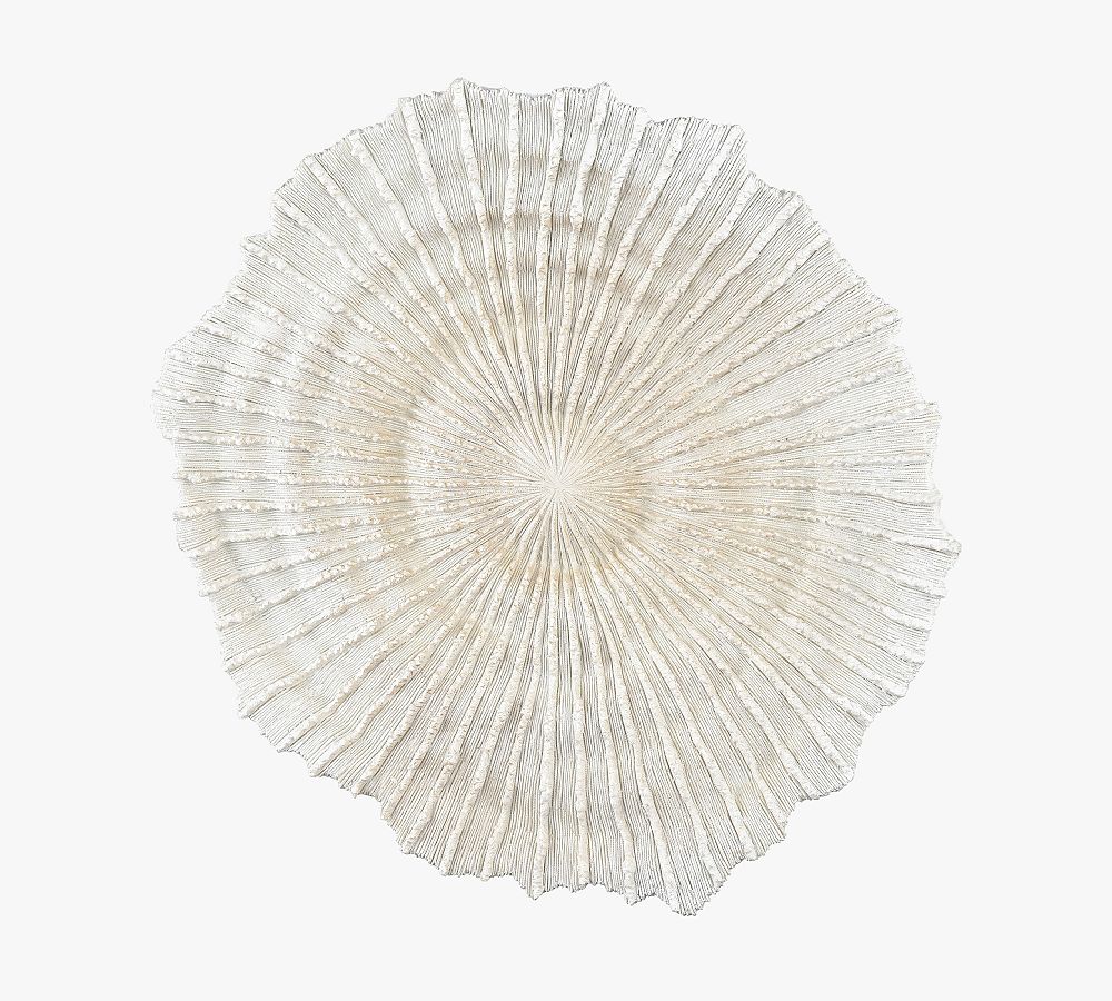 Handmade Ceramic Shell Wall Art - Set of 3 | Pottery Barn