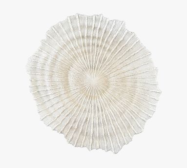 Handmade Ceramic Shell Wall Art - Set of 3 | Pottery Barn