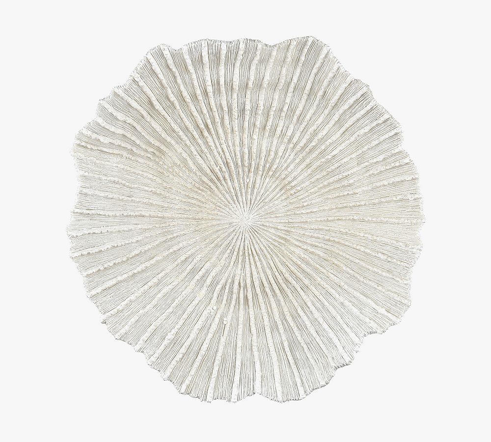 Handmade Ceramic Shell Wall Art - Set of 3 | Pottery Barn