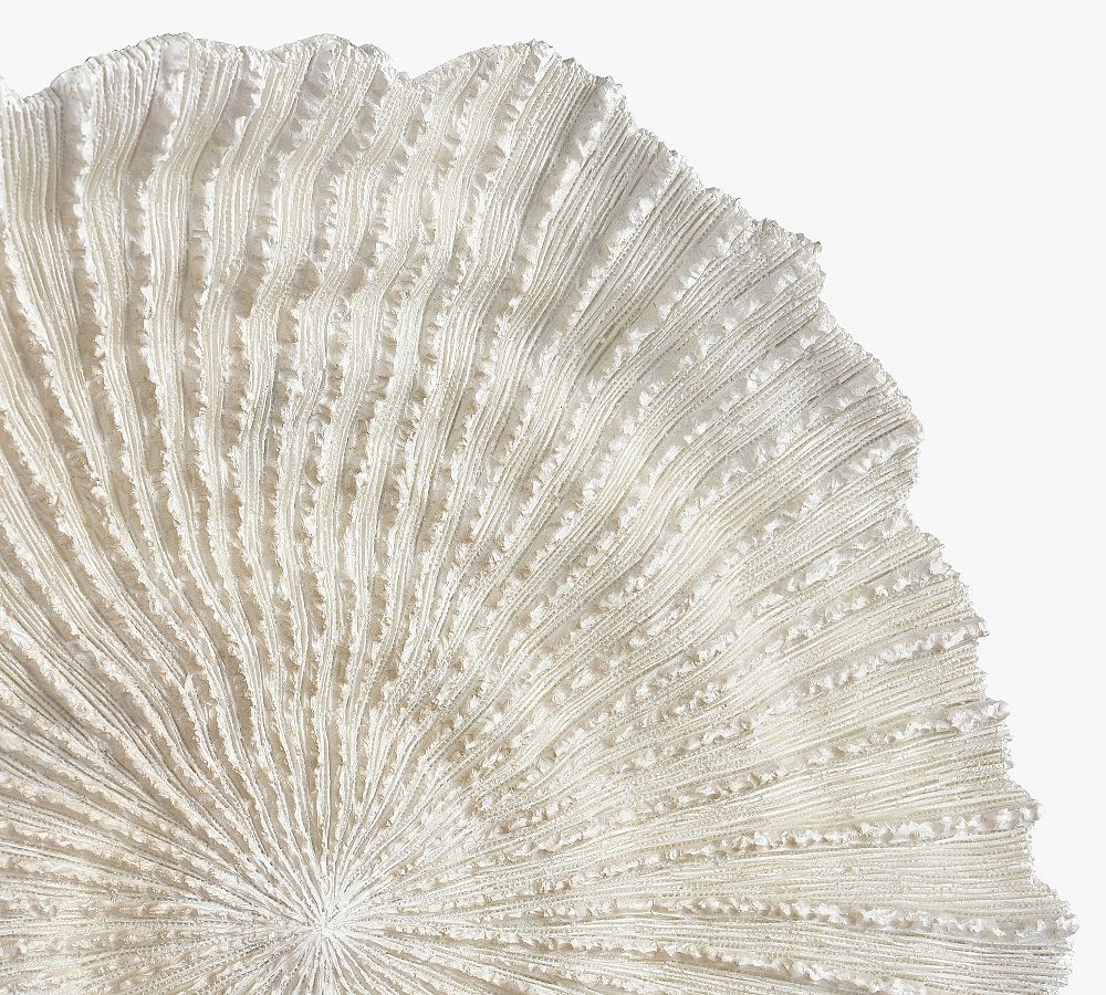 Handmade Ceramic Shell Wall Art - Set of 3 | Pottery Barn