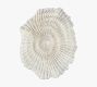 Handmade Ceramic Shell Wall Art - Set of 3 | Pottery Barn