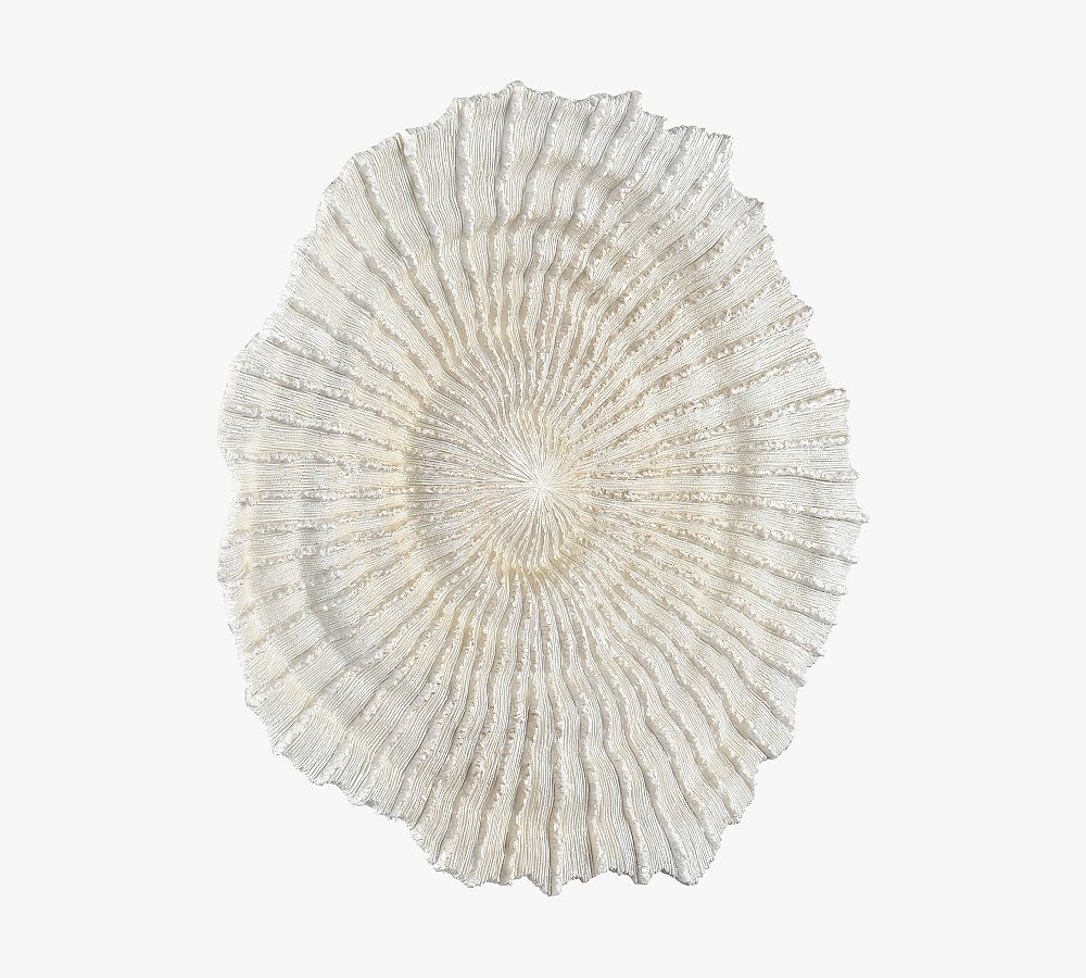 Handmade Ceramic Shell Wall Art - Set of 3 | Pottery Barn